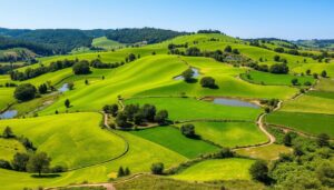 How to Implement Keyline Design in Permaculture